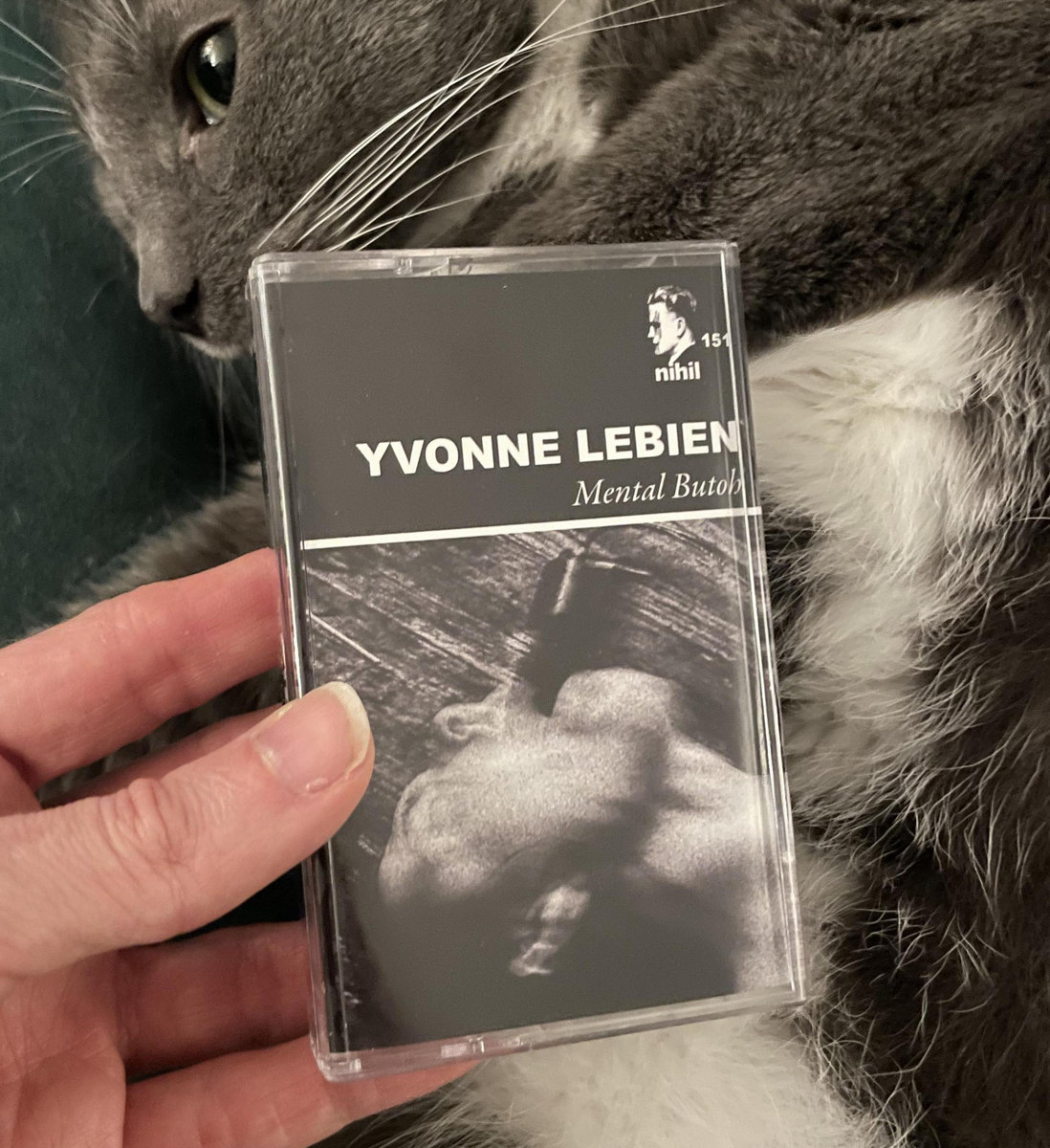 Mental Butoh | Yvonne LeBien | popnihil