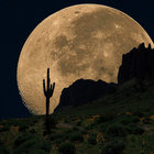 A Human's Touch (feat. McKenna Rae) | TWRP