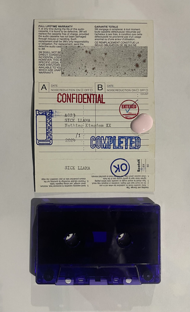 Nothing Kingdom XX | Sick Llama | FAG TAPES / ANTARTICA