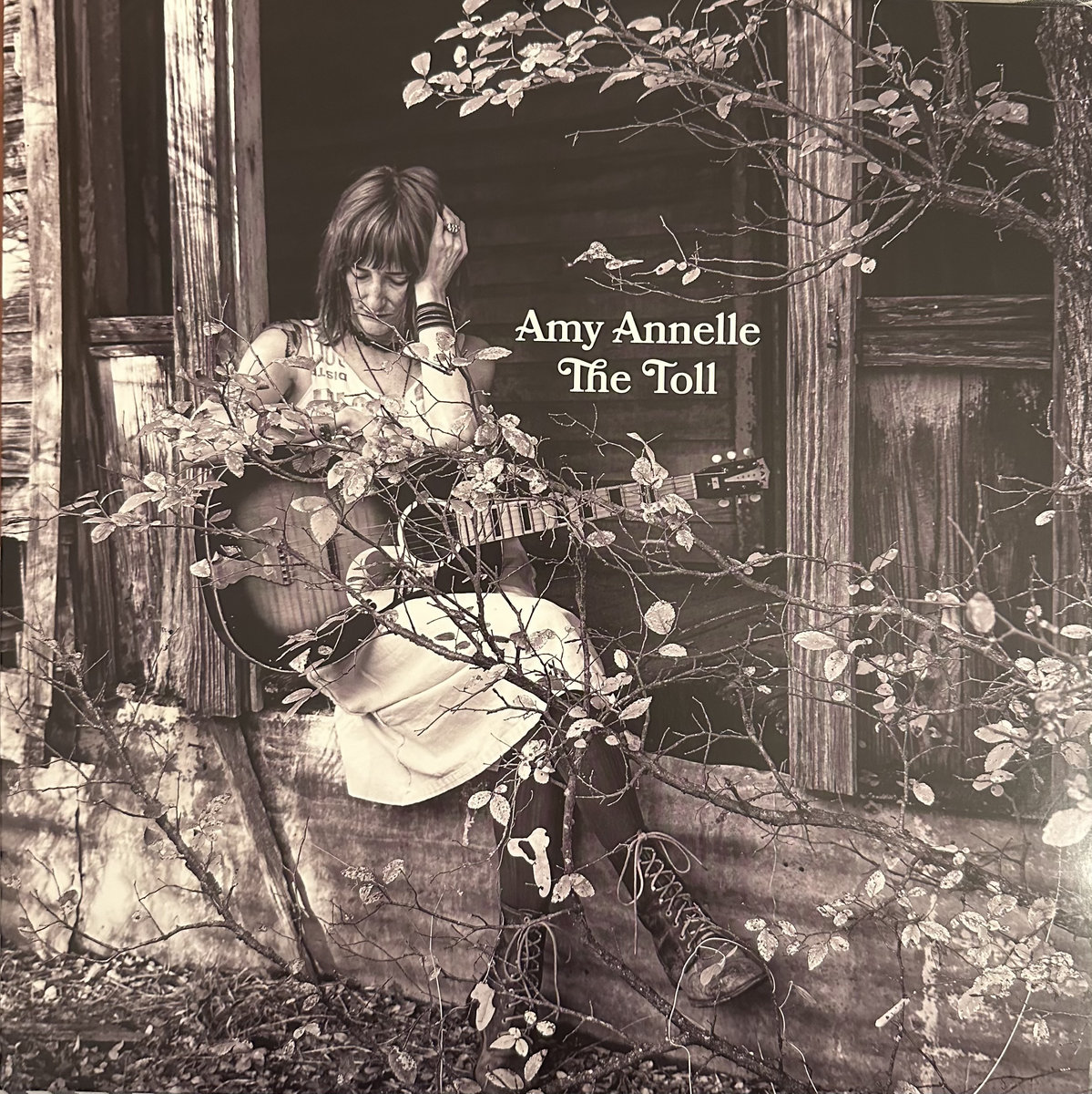 The Toll | Amy Annelle