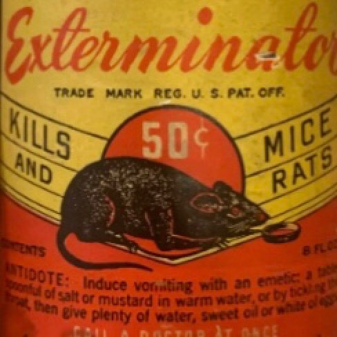 Louie Louie | The Dead Rats