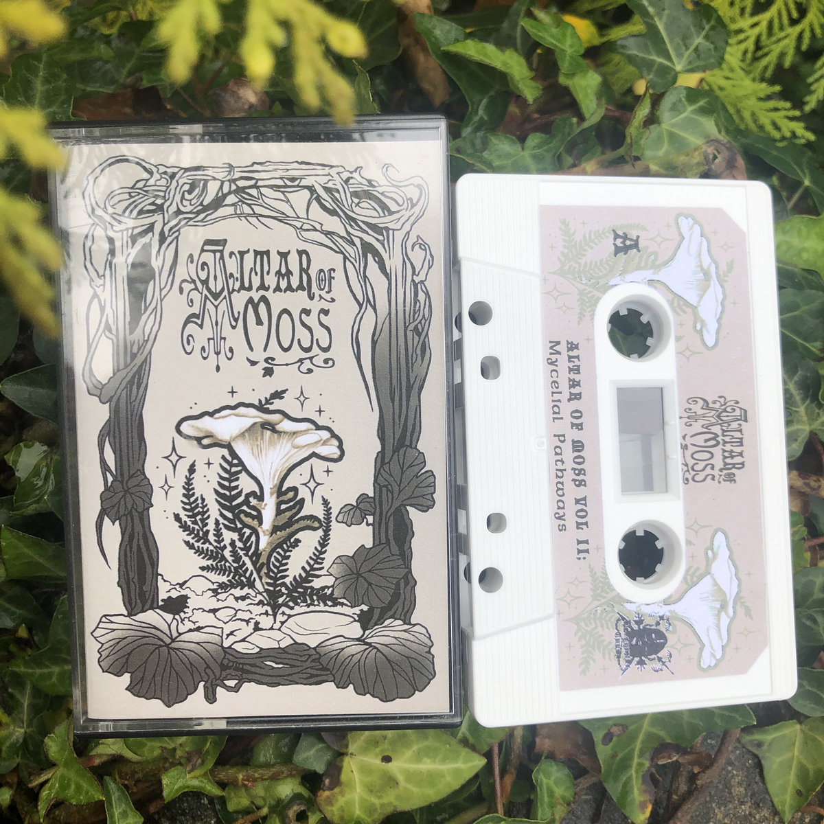 Altar Of Moss Vol 2: Mycelial Pathways | Nocturnal Curse Records