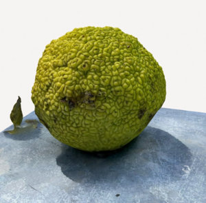 Music | Process Theatre