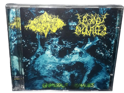 VAGINAL ANOMALIES / PIGTO: Split CD | Rotten Foetus Records