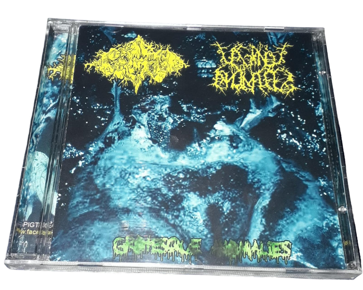 VAGINAL ANOMALIES / PIGTO: Split CD | Rotten Foetus Records
