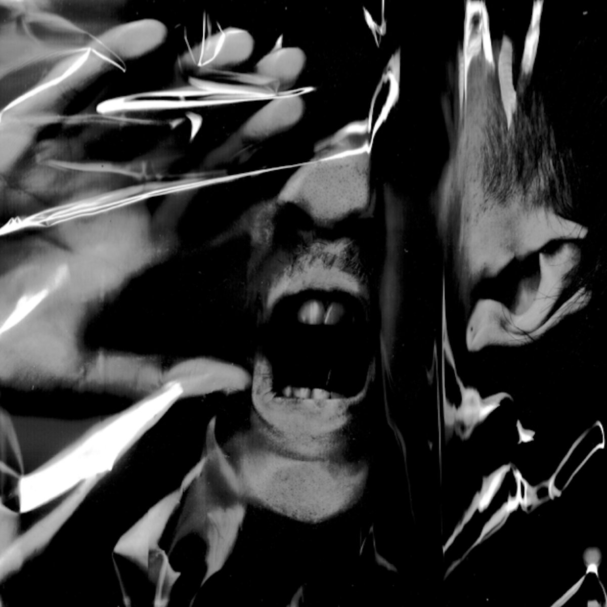 rot [DOUBLE EP] | pinnat