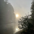 The Villager's Companion | califone / tim rutili / red red meat