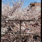 SUPER KEY GENERATOR | Kobaryo | HiTNEX TRAX