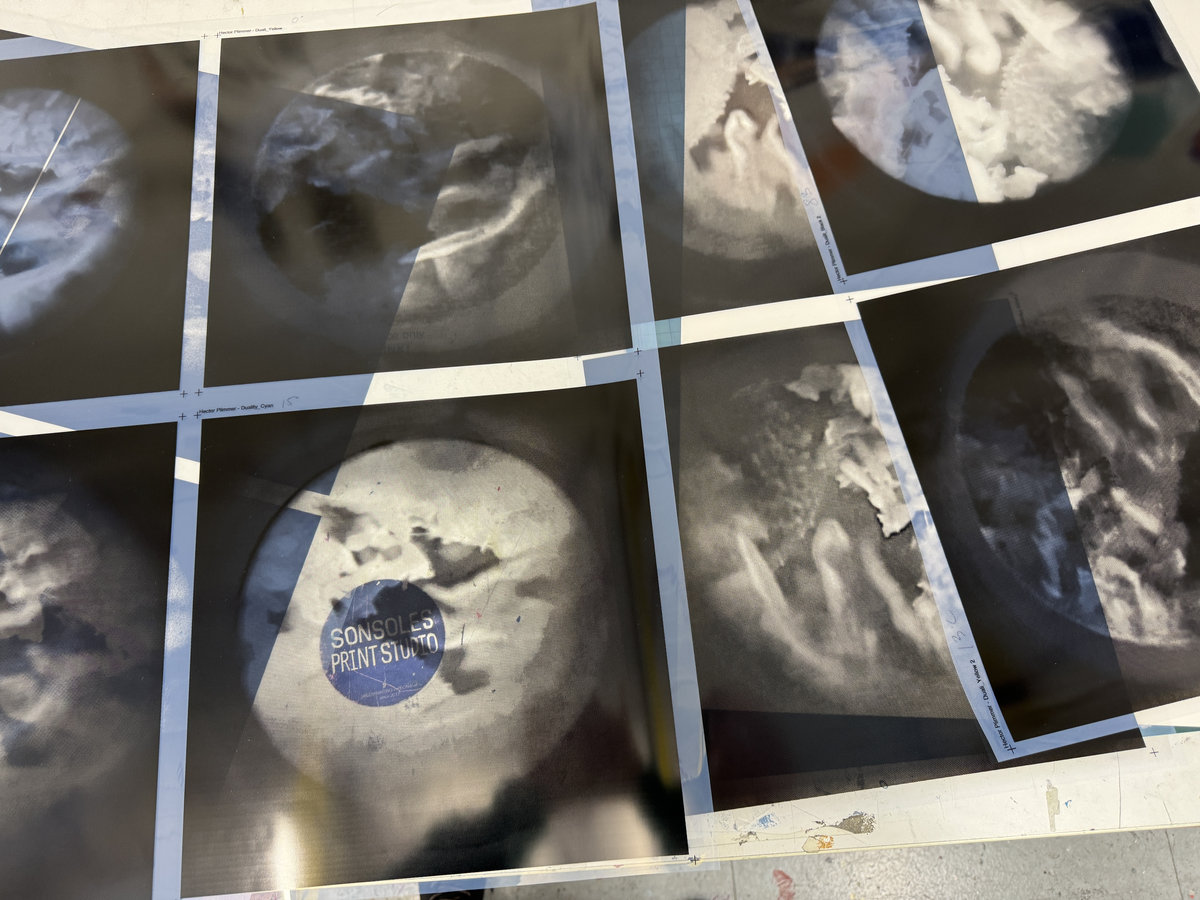 Duality | Hector Plimmer