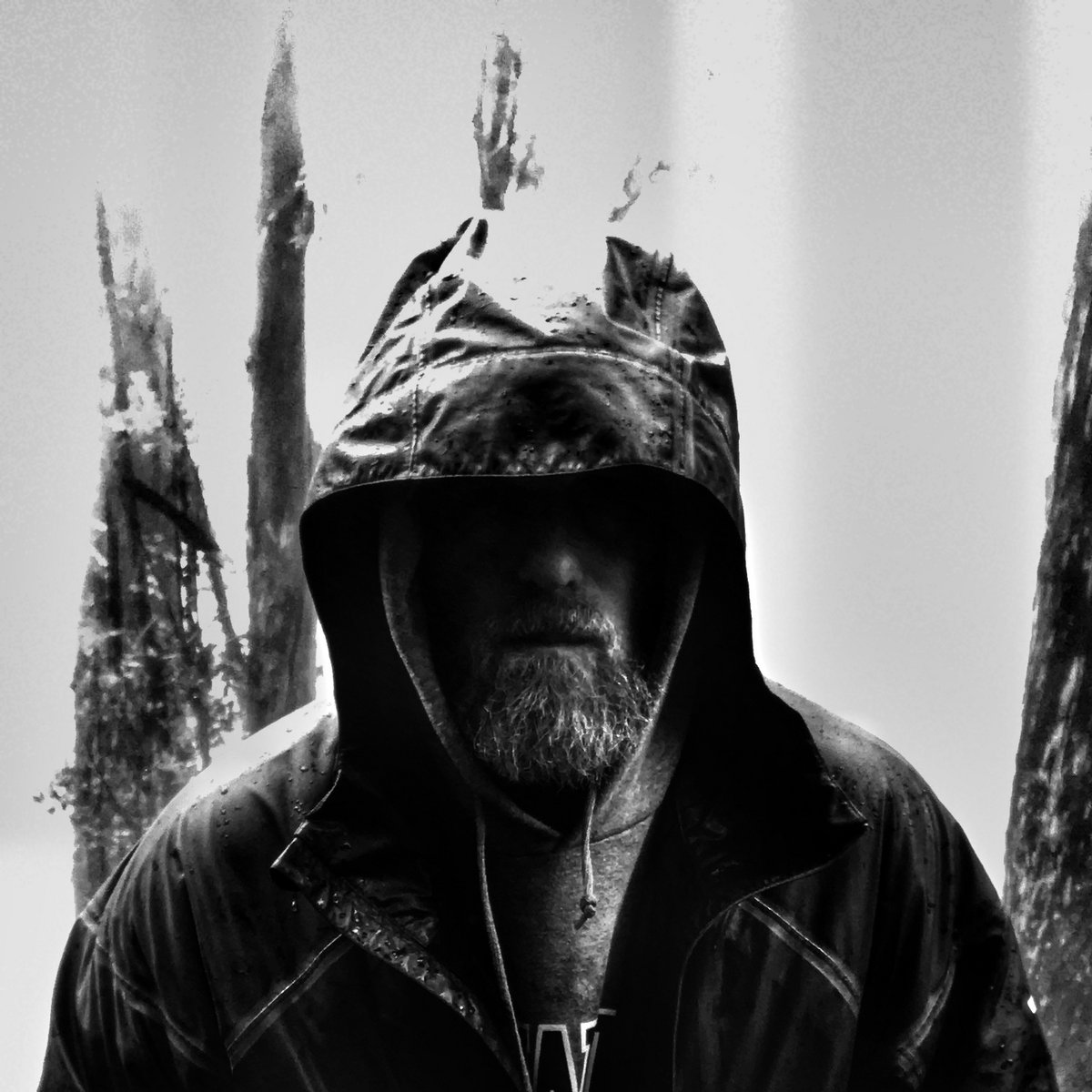 Daddy's Dead | Catfish and the Blind Wolf Spiders