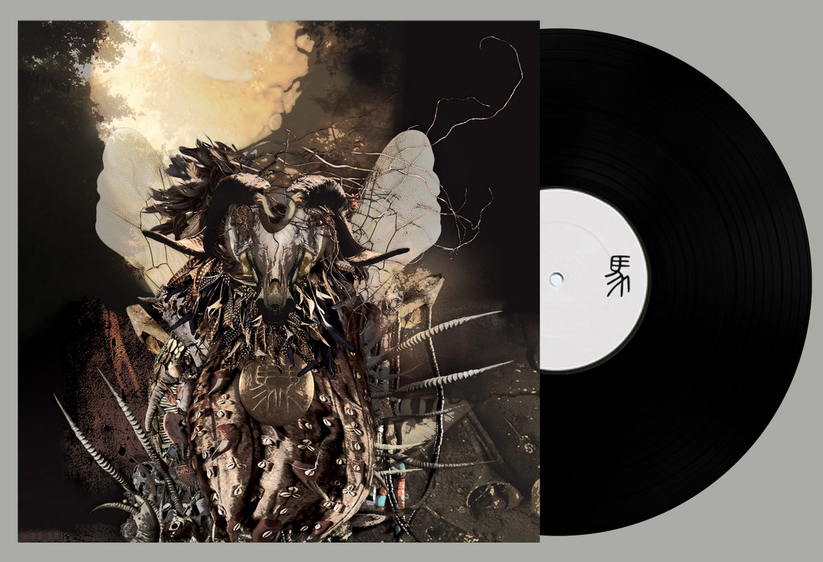 Motor Brain | Horse Gives Birth To Fly | No Need Name