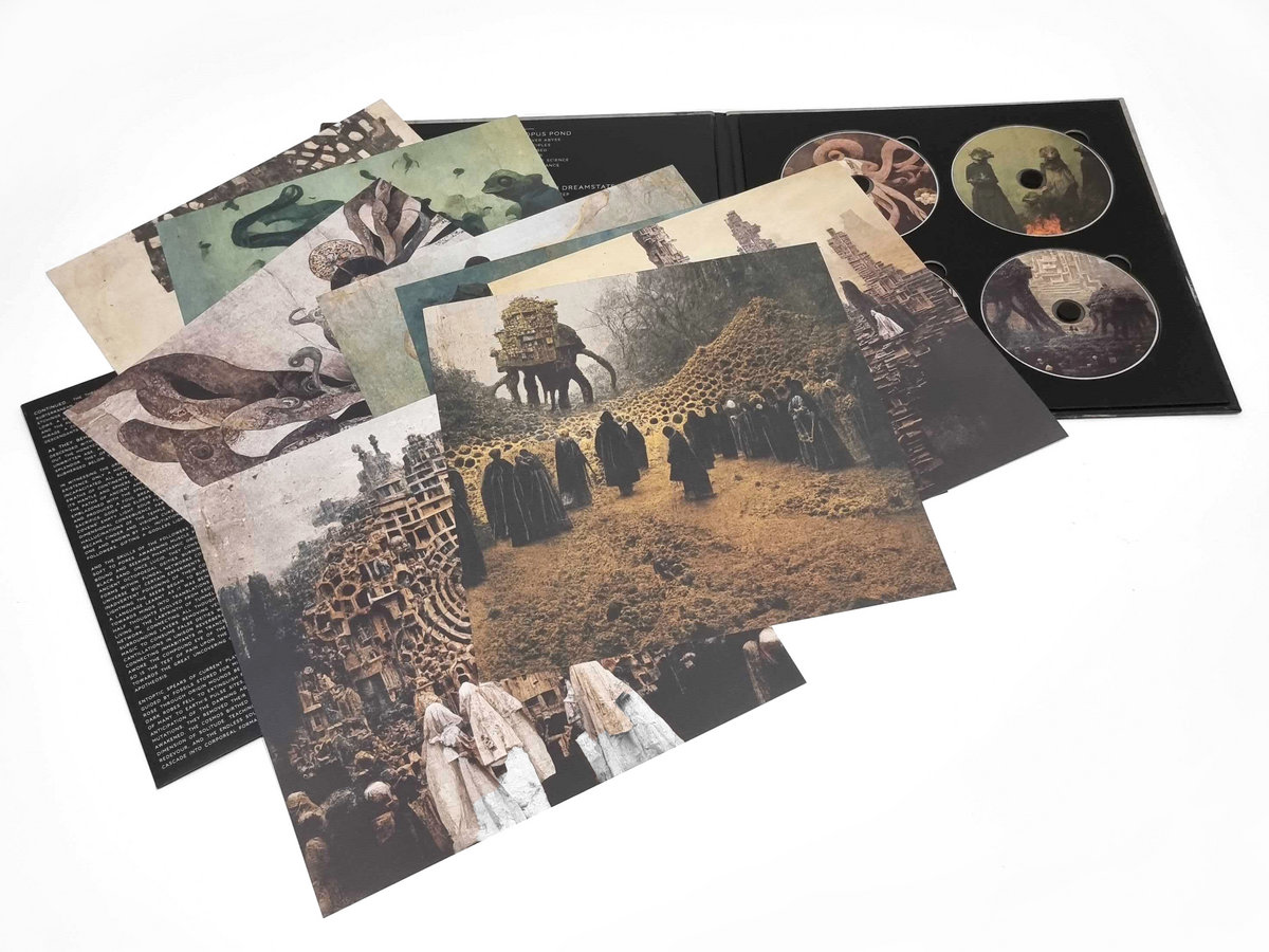 In The Octopus Pond | ARROWOUNDS