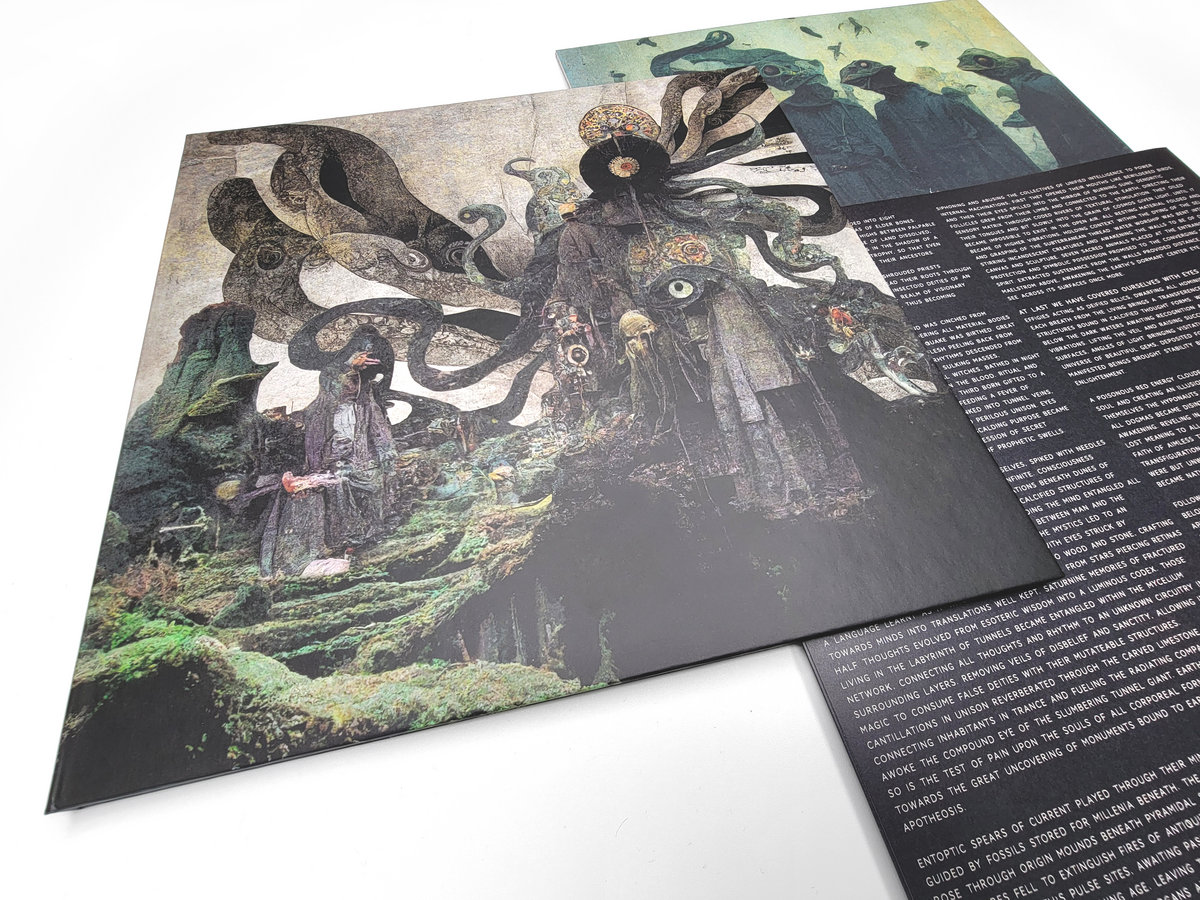 In The Octopus Pond | ARROWOUNDS