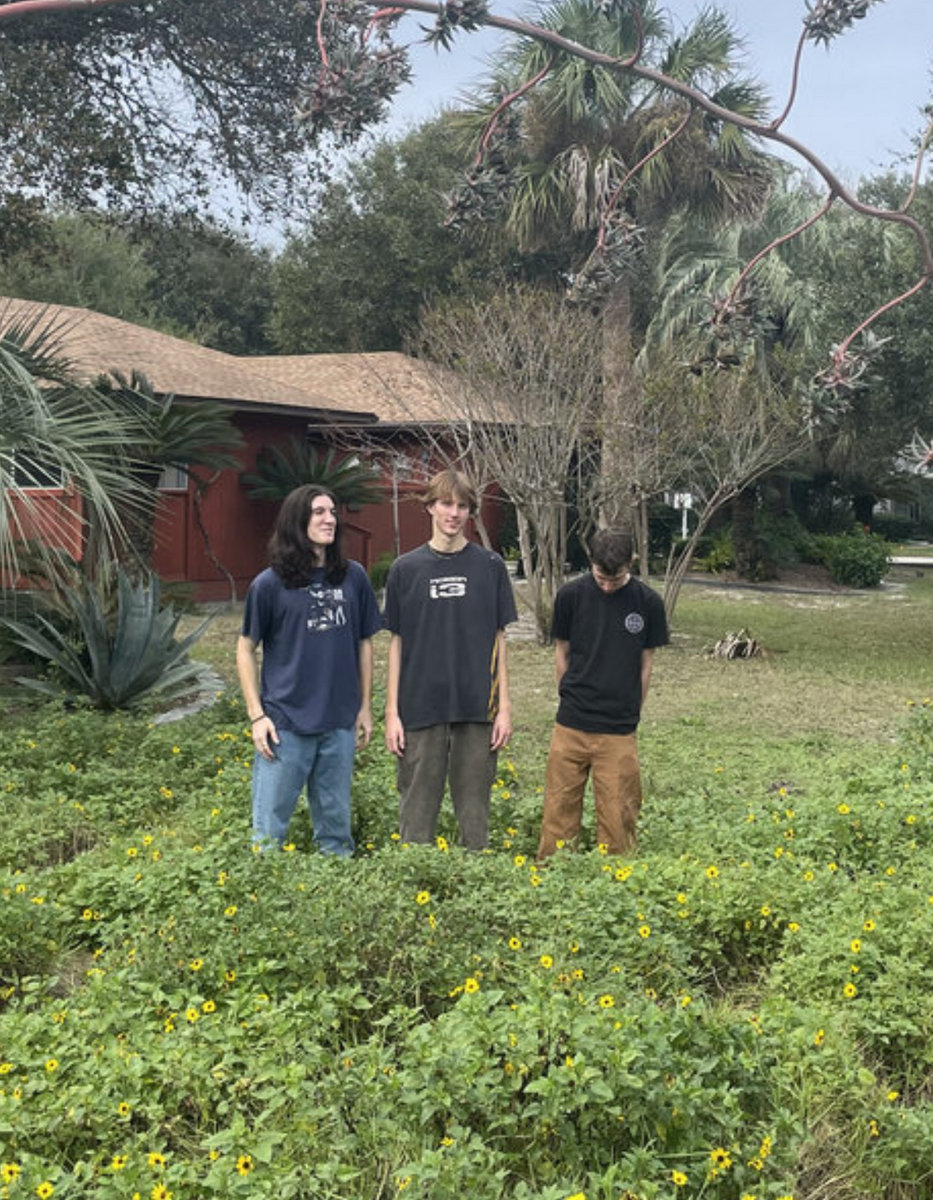 Reforestation | Pollinator