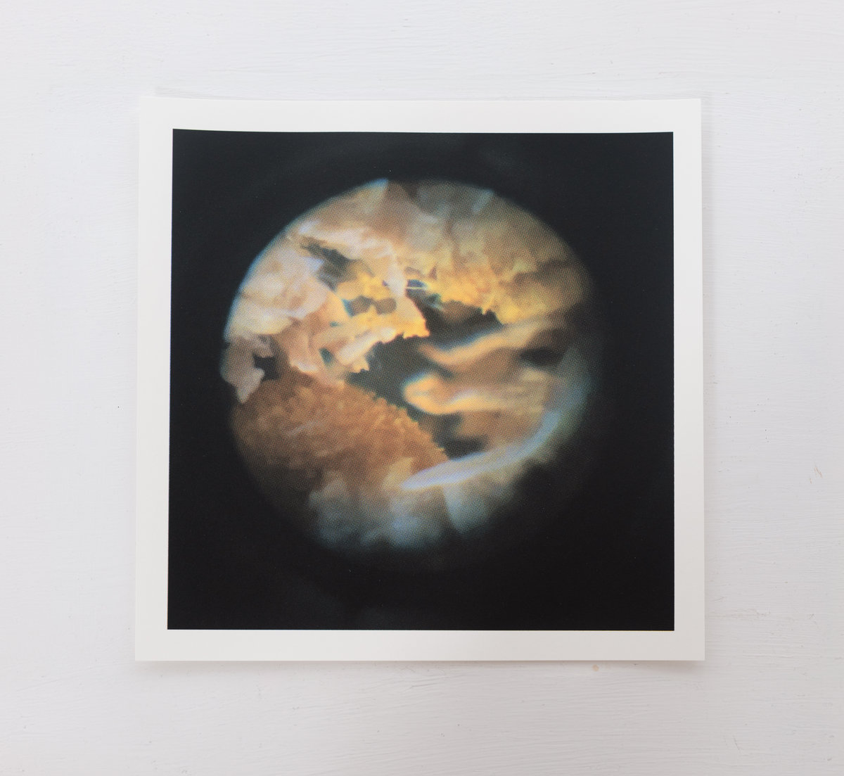 Duality | Hector Plimmer