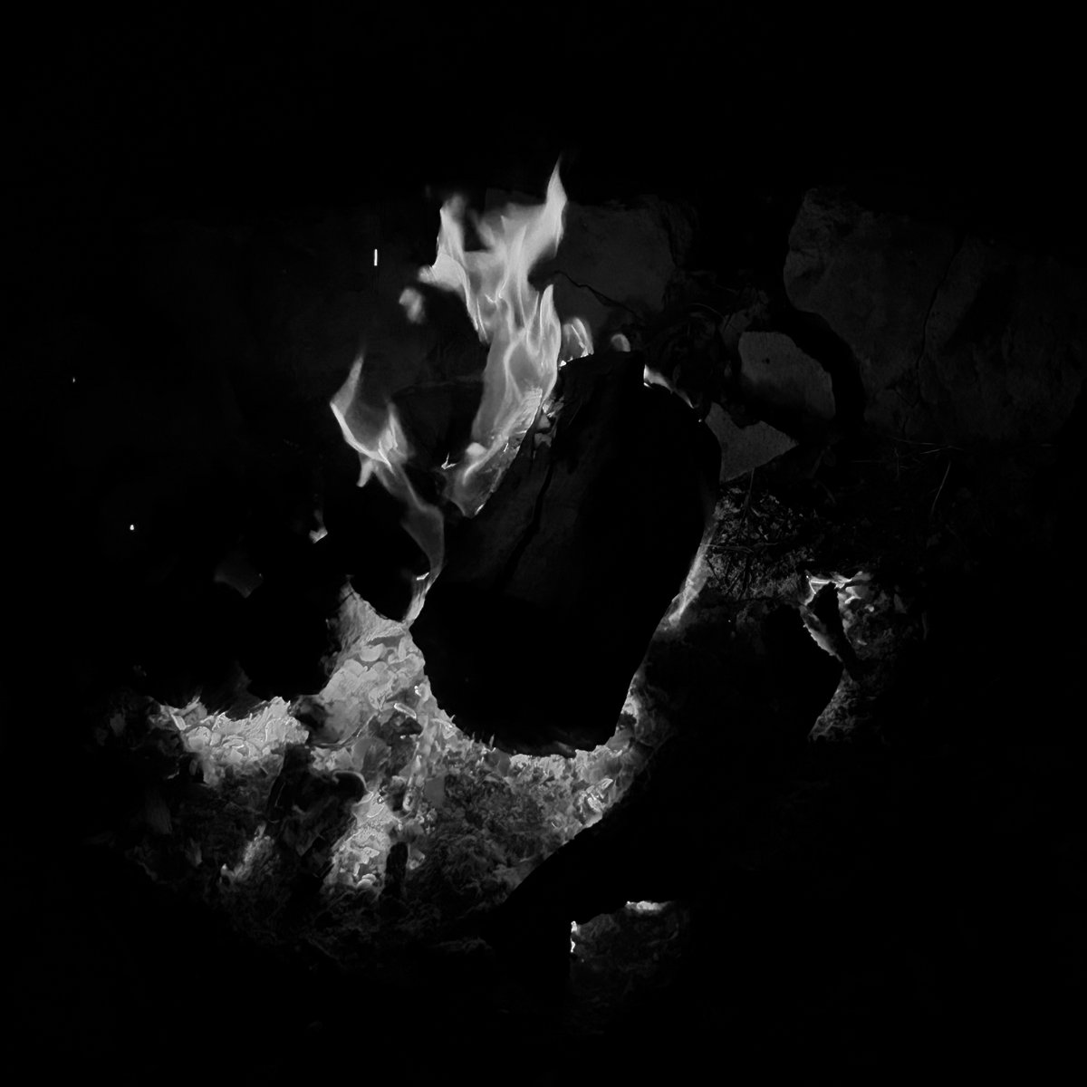 bonemarrow | your somber eyes