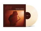 Slow Burn | Boney James