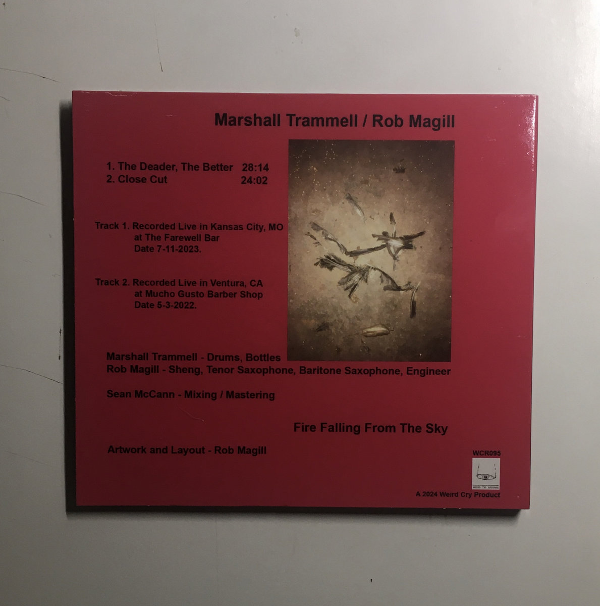 Fire Falling From The Sky | Marshall Trammell / Rob Magill Duo | WEIRD ...