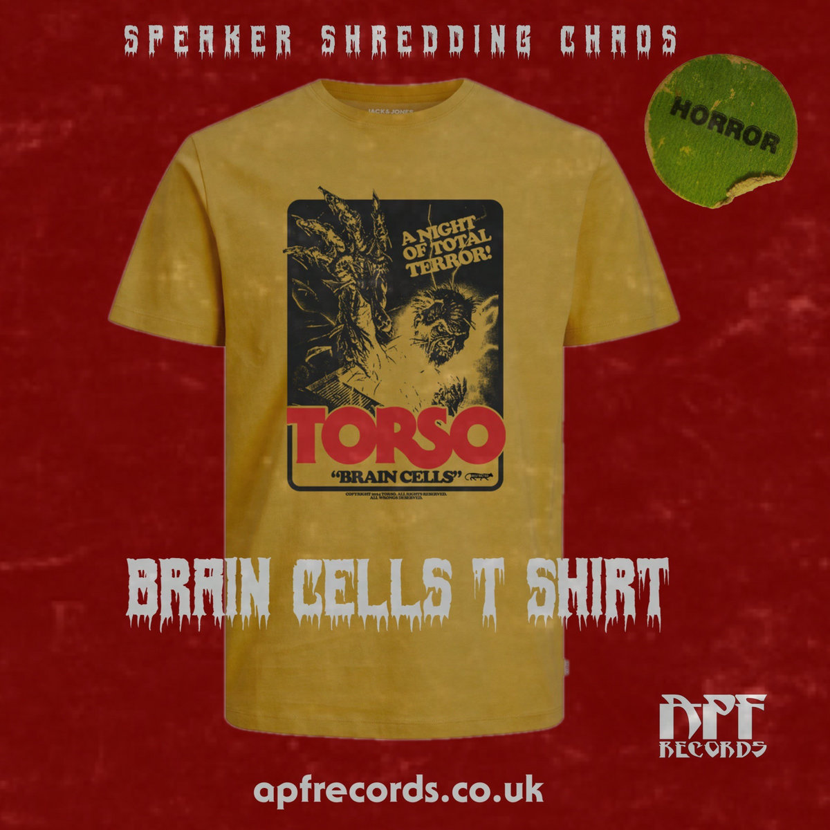 Brain Cells | TORSO