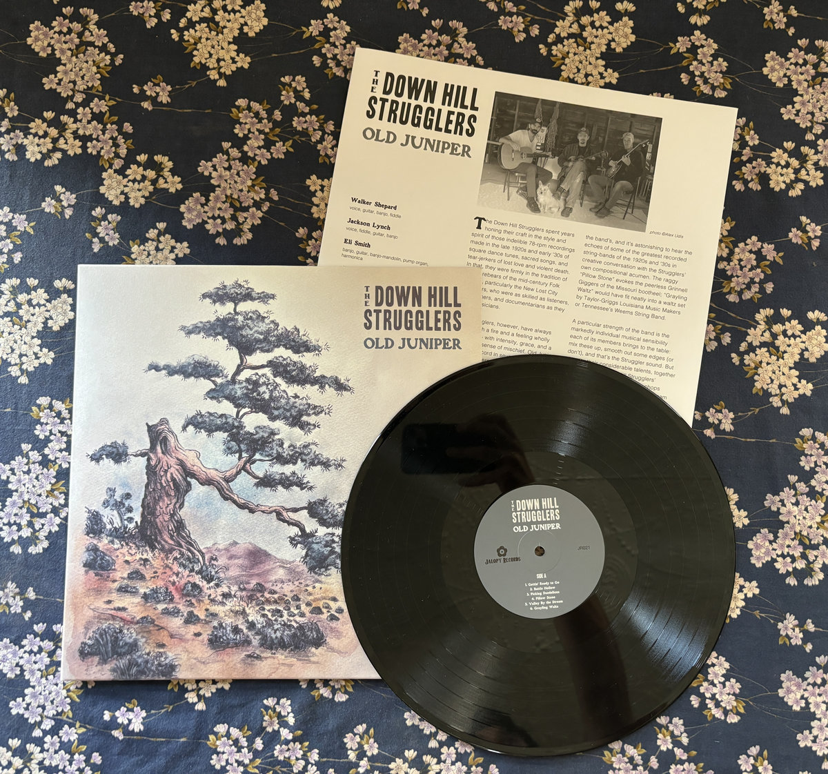 Old Juniper | Down Hill Strugglers