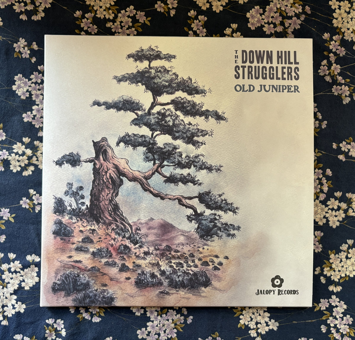 Old Juniper | Down Hill Strugglers