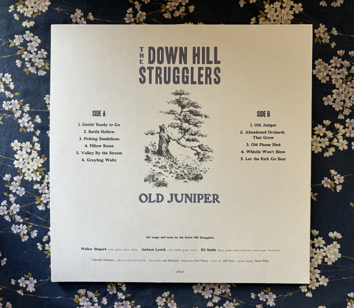 Old Juniper | Down Hill Strugglers