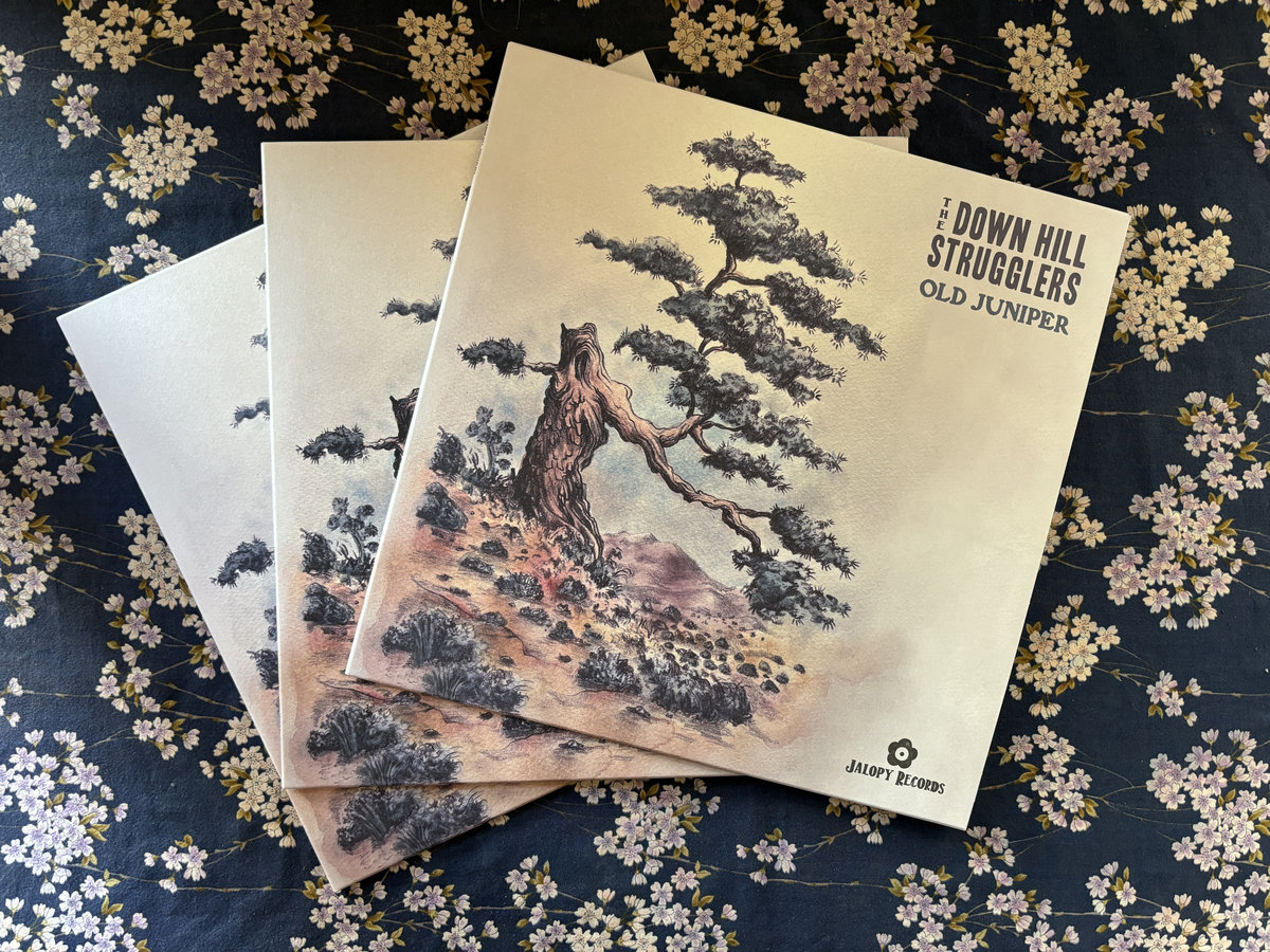 Old Juniper | Down Hill Strugglers