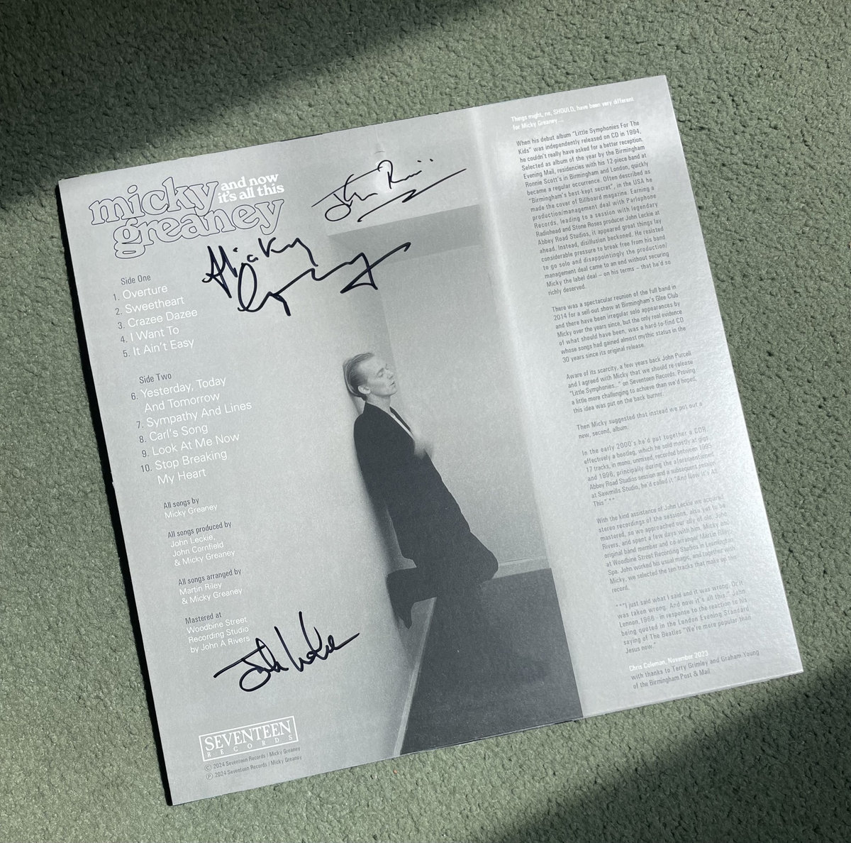 And Now It's All This | Micky Greaney