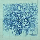 MSMSMSM | SOPHIE | Numbers