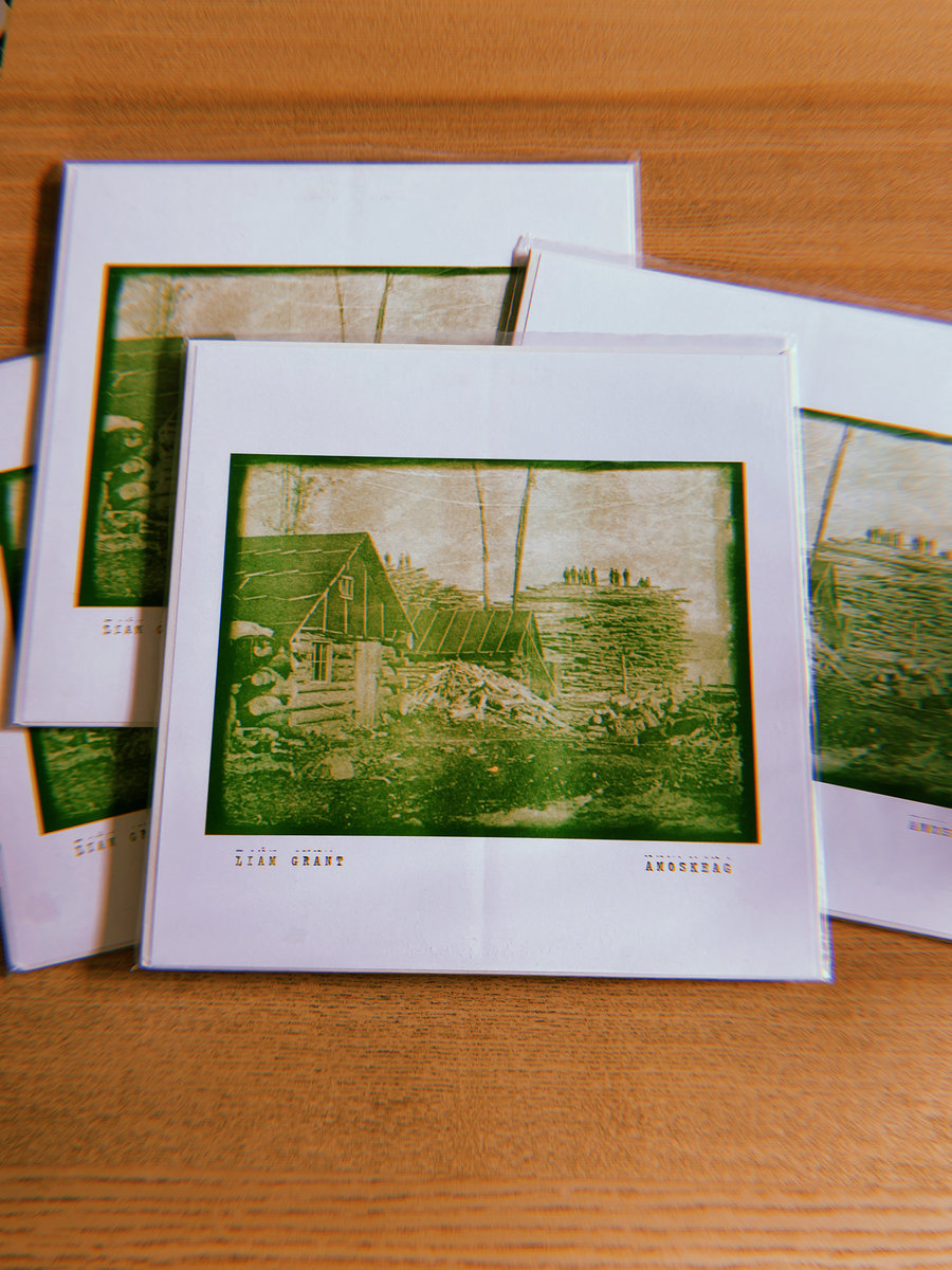 Liam Grant - Amoskag LP (Carbon) | Worried Songs