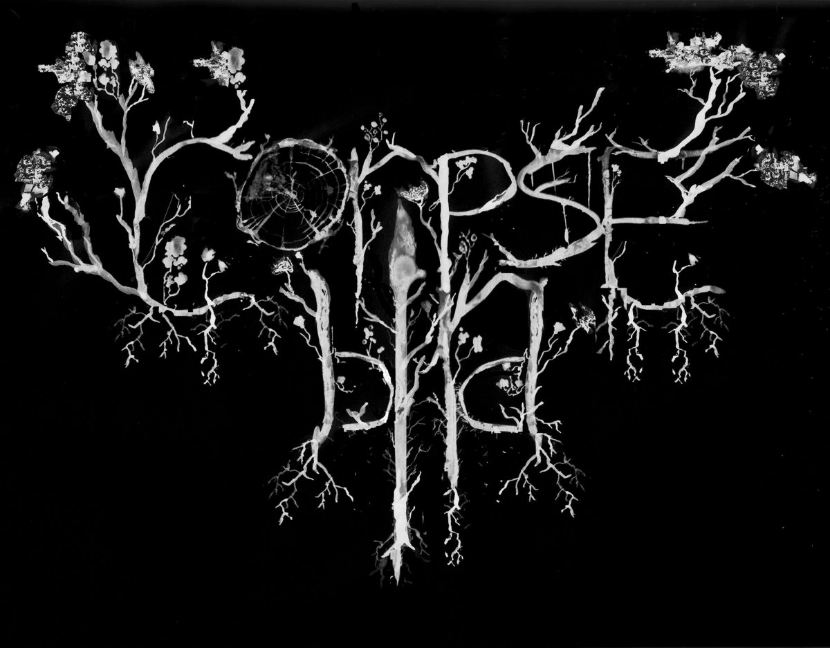 Winds from Paradise | Corpse Bird
