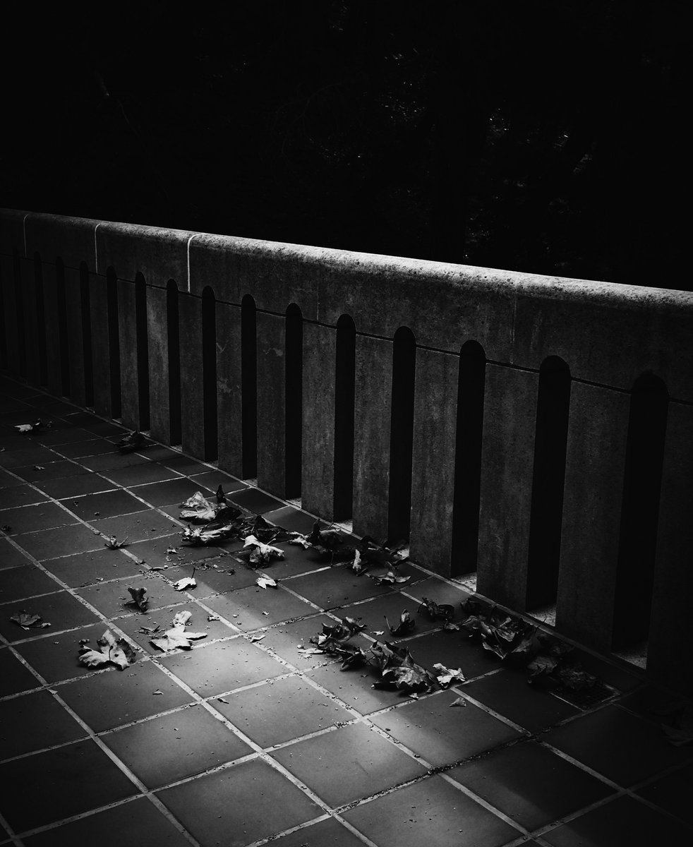 Let It Down | Galinsky