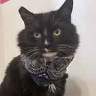 Complete Works | Emray | KINPATSU 金髪