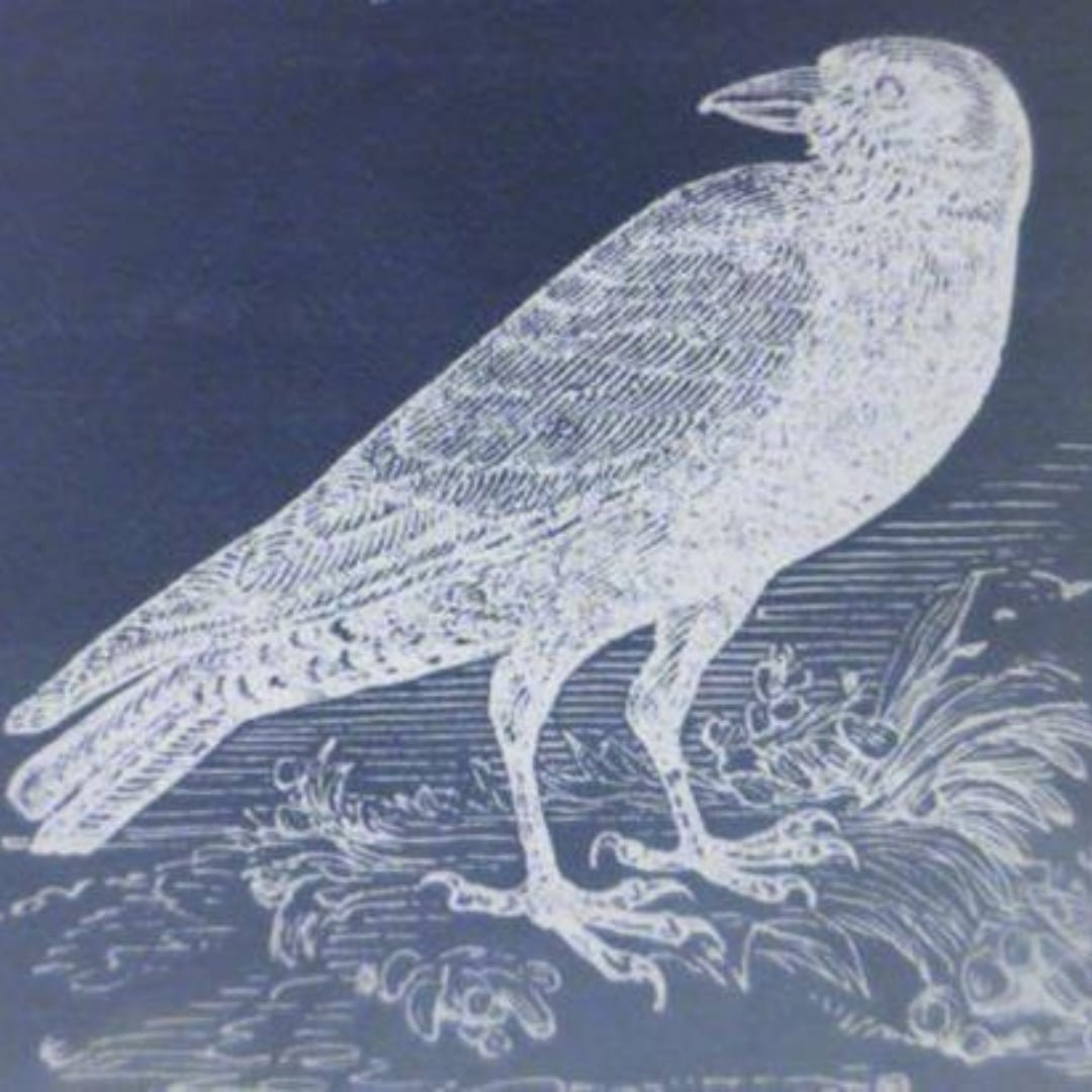 Wooden Wand "Faraway Faultlines/ Rockaby Kid" | Sonido Polifonico