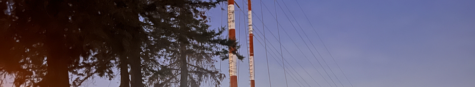 Bad Brigade | Terminal Rx