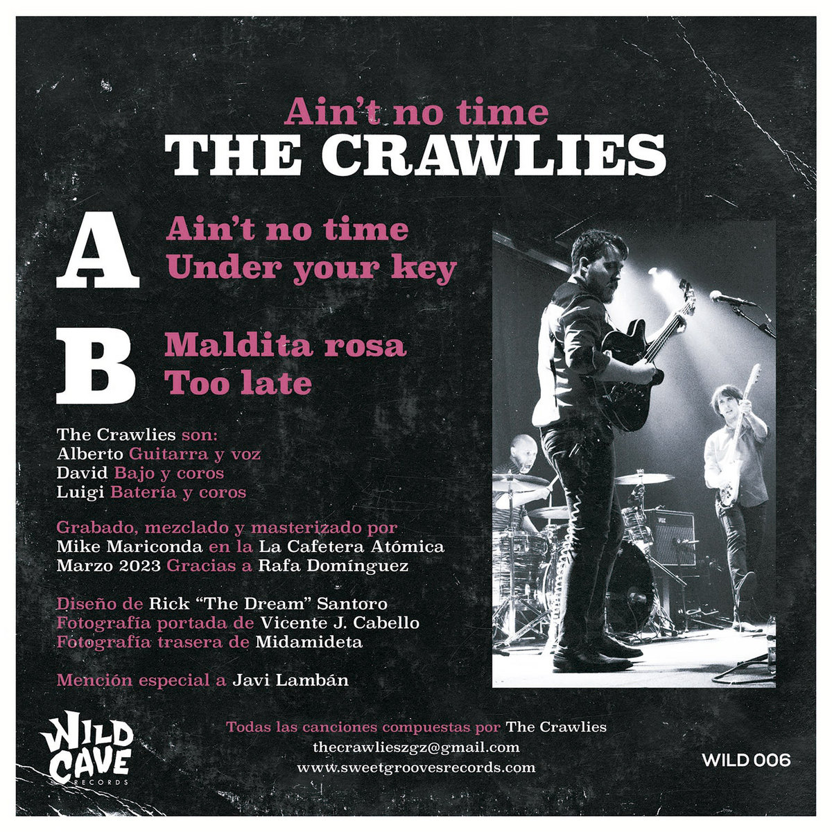 The Crawlies "Aint No Time" | THE CRAWLIES | SWEET GROOVES RECORDS