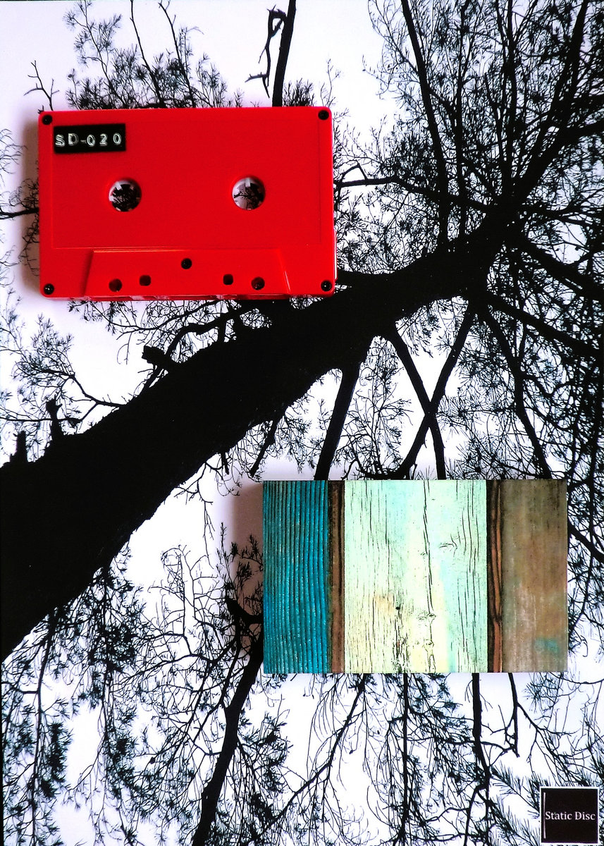 Variation | 異体相即 | Static Disc