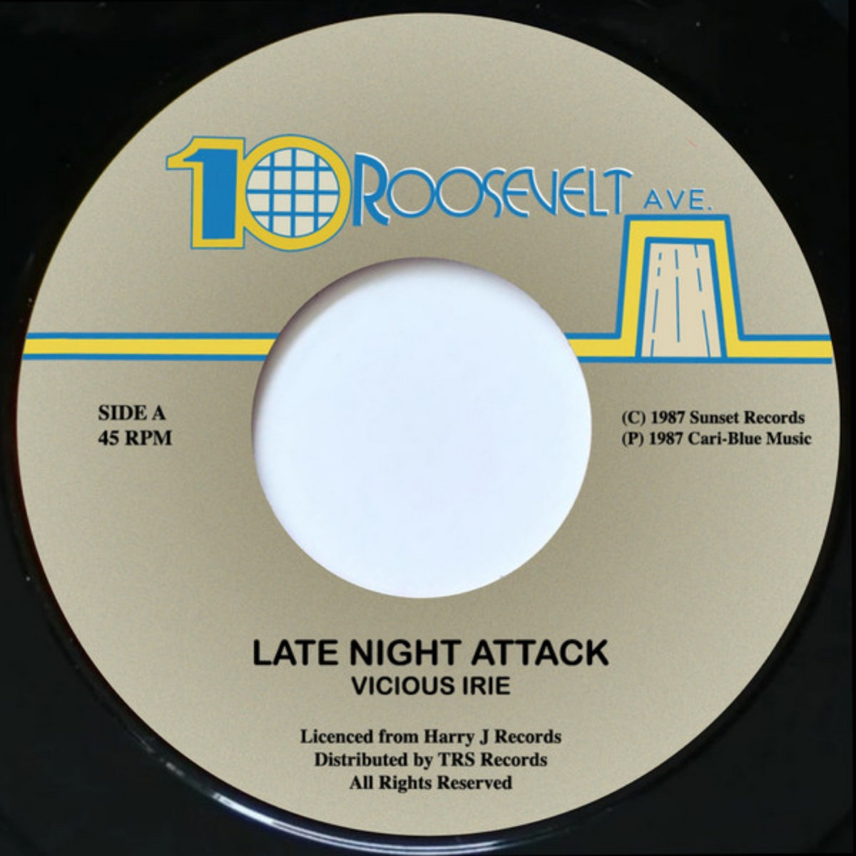 VICIOUS IRIE - Late Night Attack | TRS Records