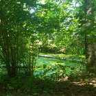 Amy Locust Whatever | CBMC