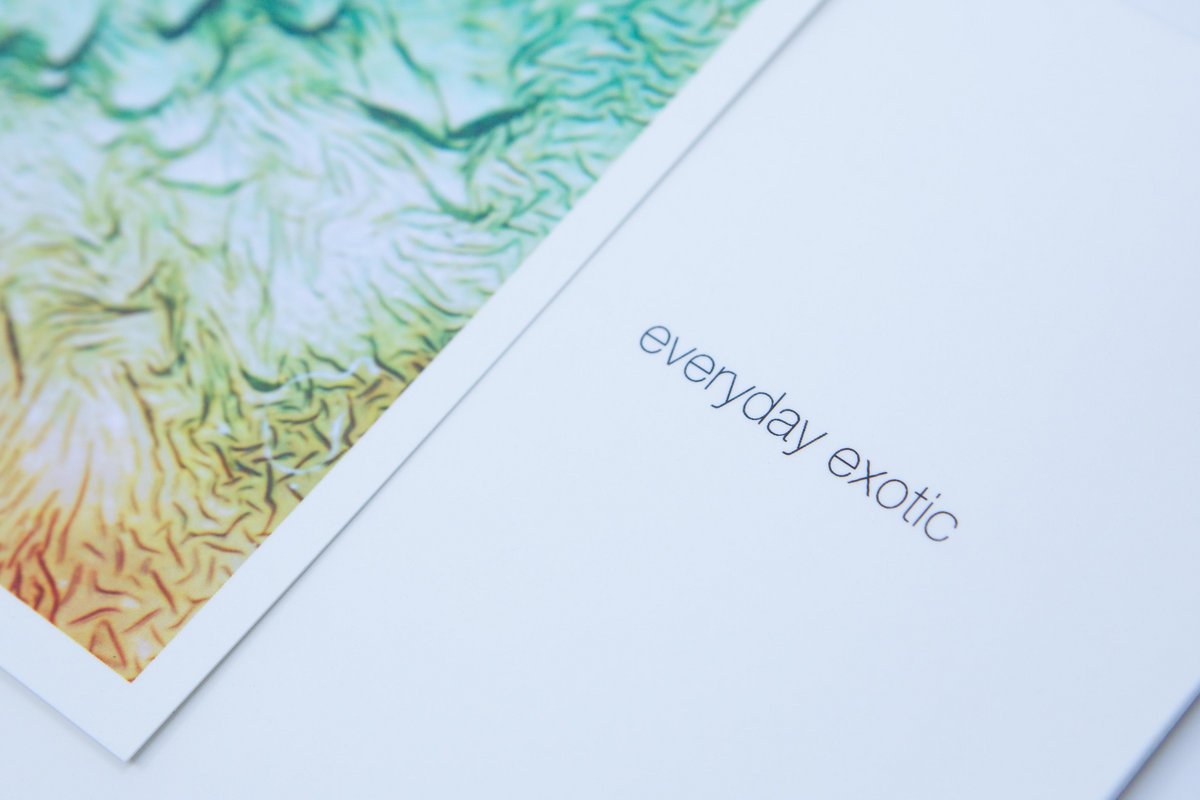 Everyday Exotic | Slow Reels (Ian Hawgood and James Murray) | quiet details