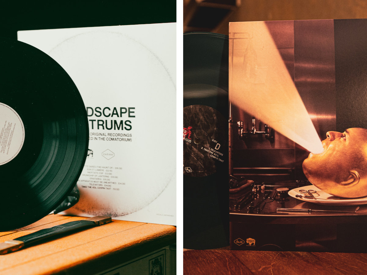LP Bundle: Landscape Tantrums + De-Loused In The Comatorium | The Mars ...