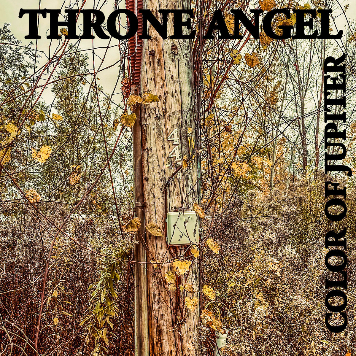 COLOR OF JUPITER | Throne Angel