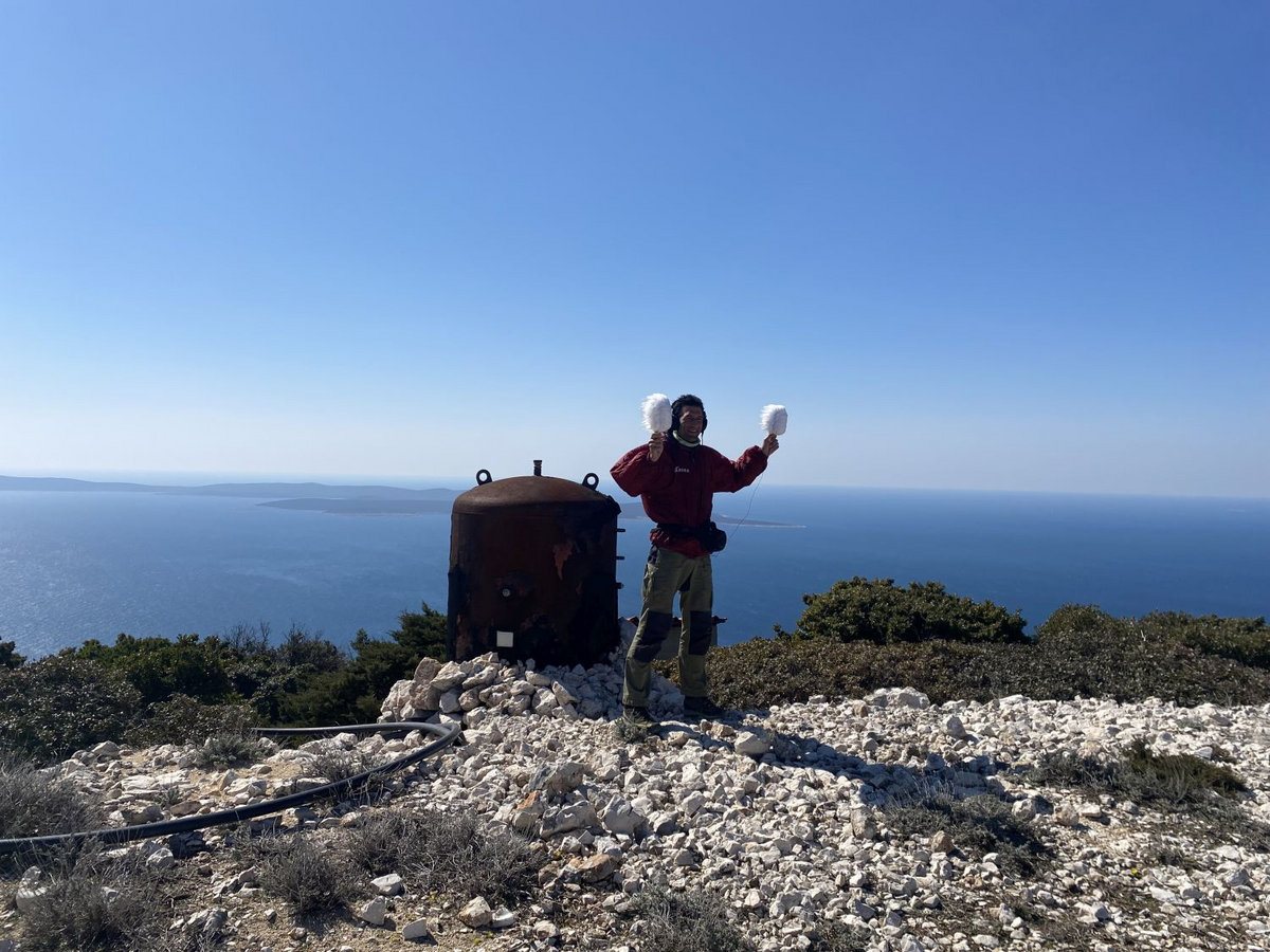 Quiet forest- squeaking trees -owls -tree house- rustling dry leaves ...