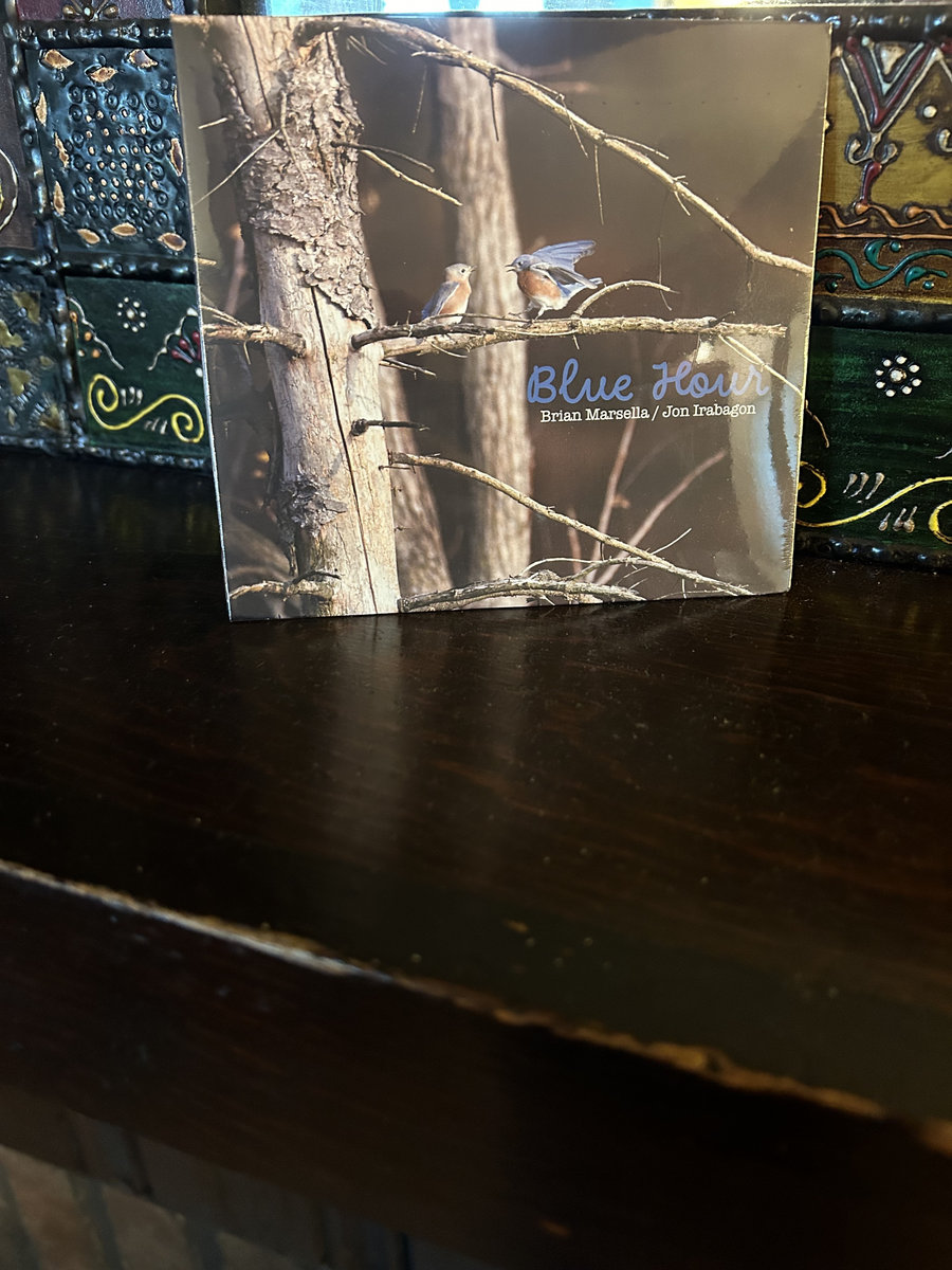 Blue Hour | Brian Marsella and Jon Irabagon | Brian Marsella/Jon Irabagon