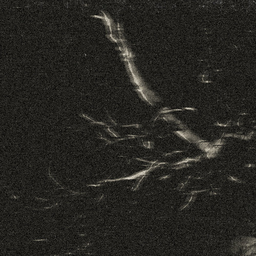 House Infernal | Weeping Husk