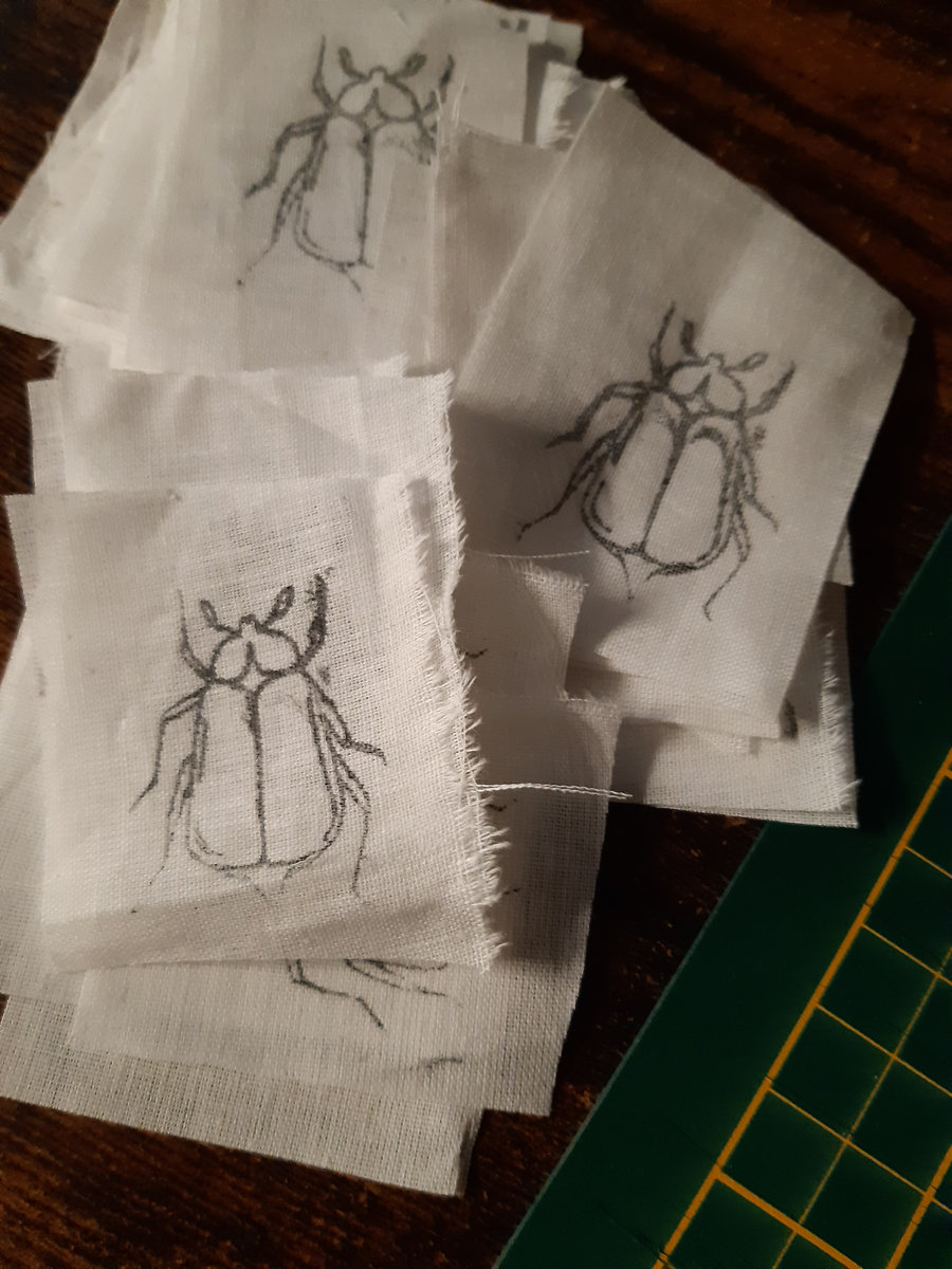 Tt29/The Fall | Jzovce | Titania Tapes