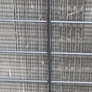 Music | Witch Engine