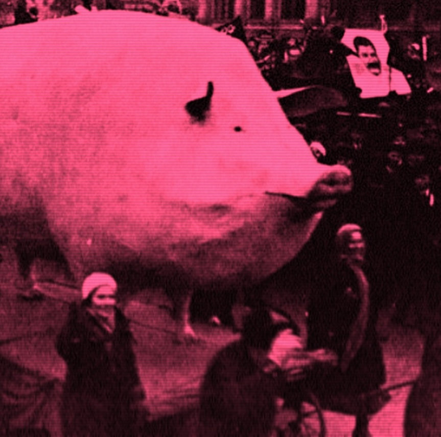 Pig Debris | Suspended In Cobwebs