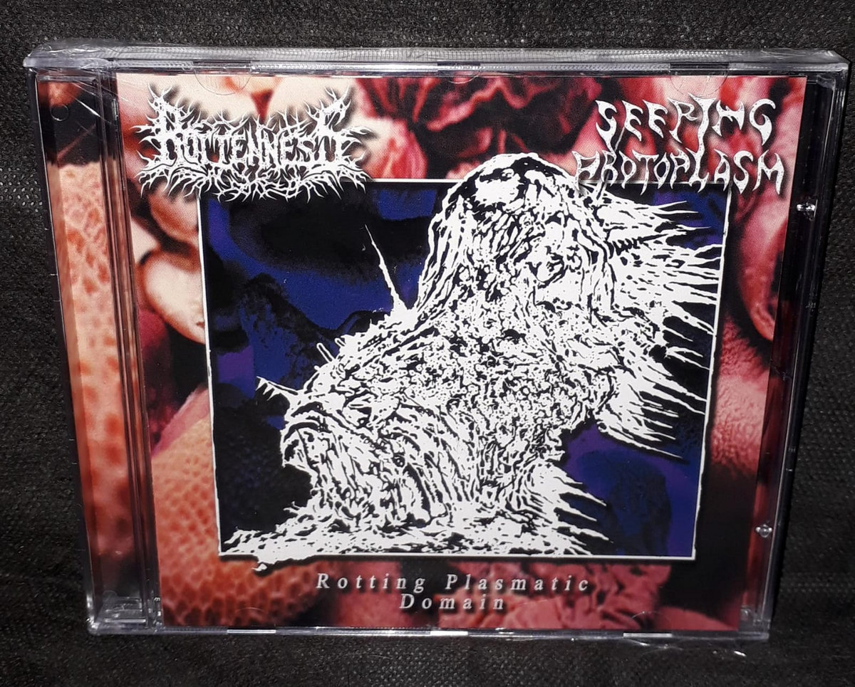 ROTTENNESS / SEEPING PROTOPLASM: Split CD | Rotten Foetus Records