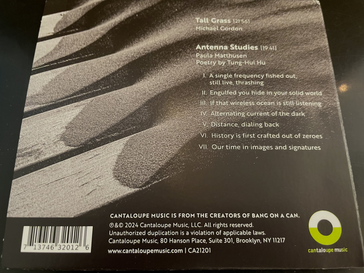 Dark Currents | Splinter Reeds